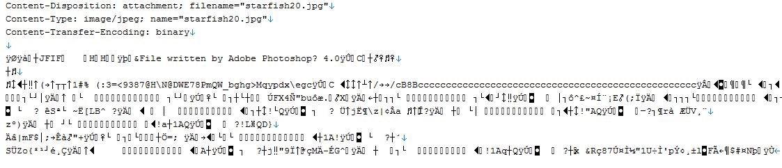 VB NET MIME Convert Base64 To Binary